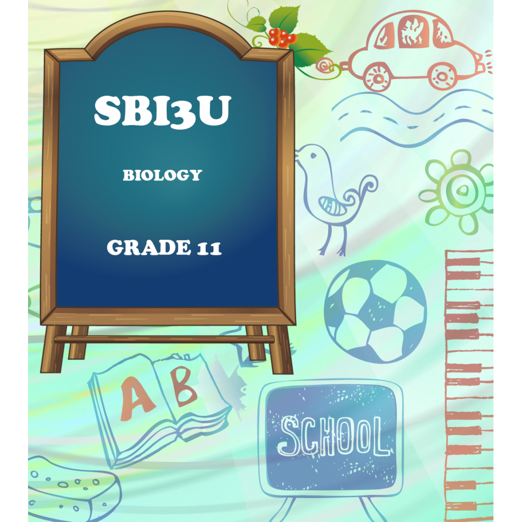 SBI3U